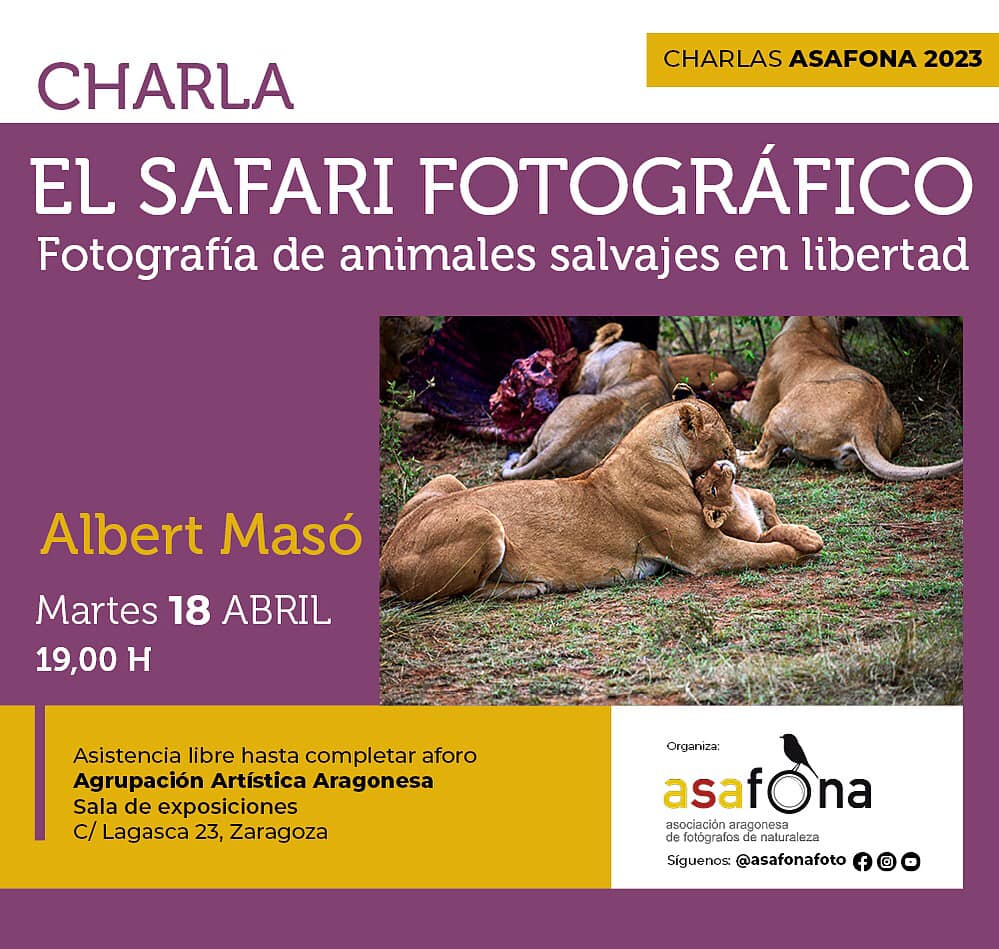 Charla Albert Masó - Agrupación Artística Aragonesa